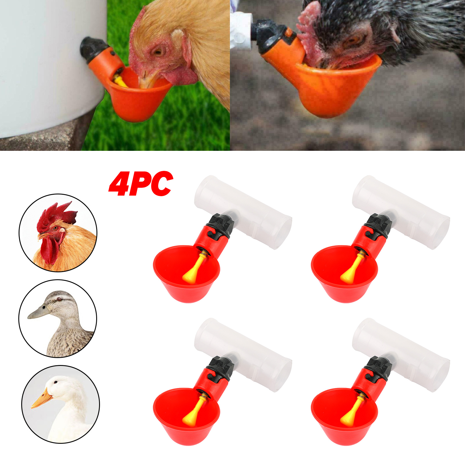 4Pcs Water Drinking Cups Chicken Automatic Poultry Drinkers Hen Bucket ...