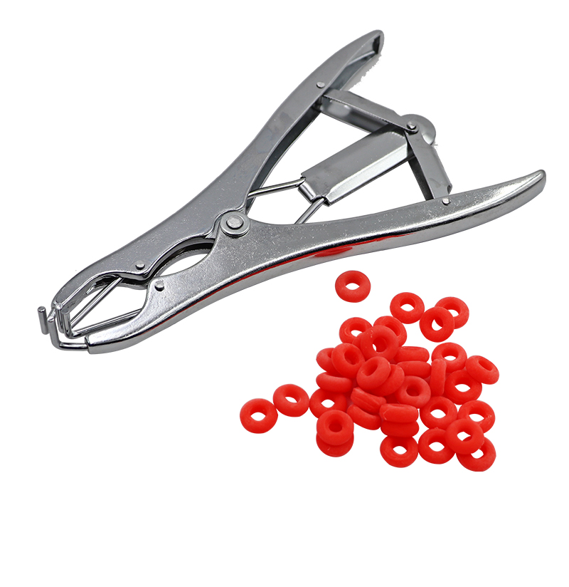 Castrating Ring Pliers Applicator / 100 Castrating Rings lamb tail docking | eBay